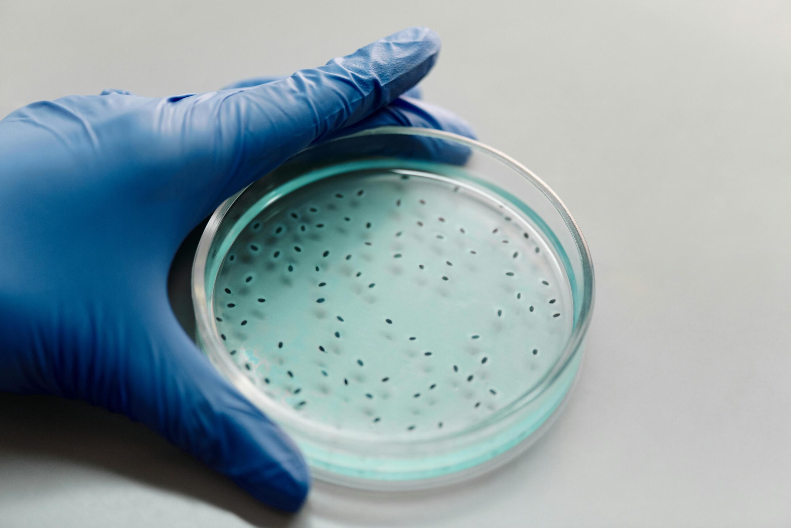Culture Media & Chemicals - ACM NEST